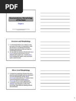 Brain Bee Study Questions | PDF | Stimulus (Physiology) | Neurotransmitter