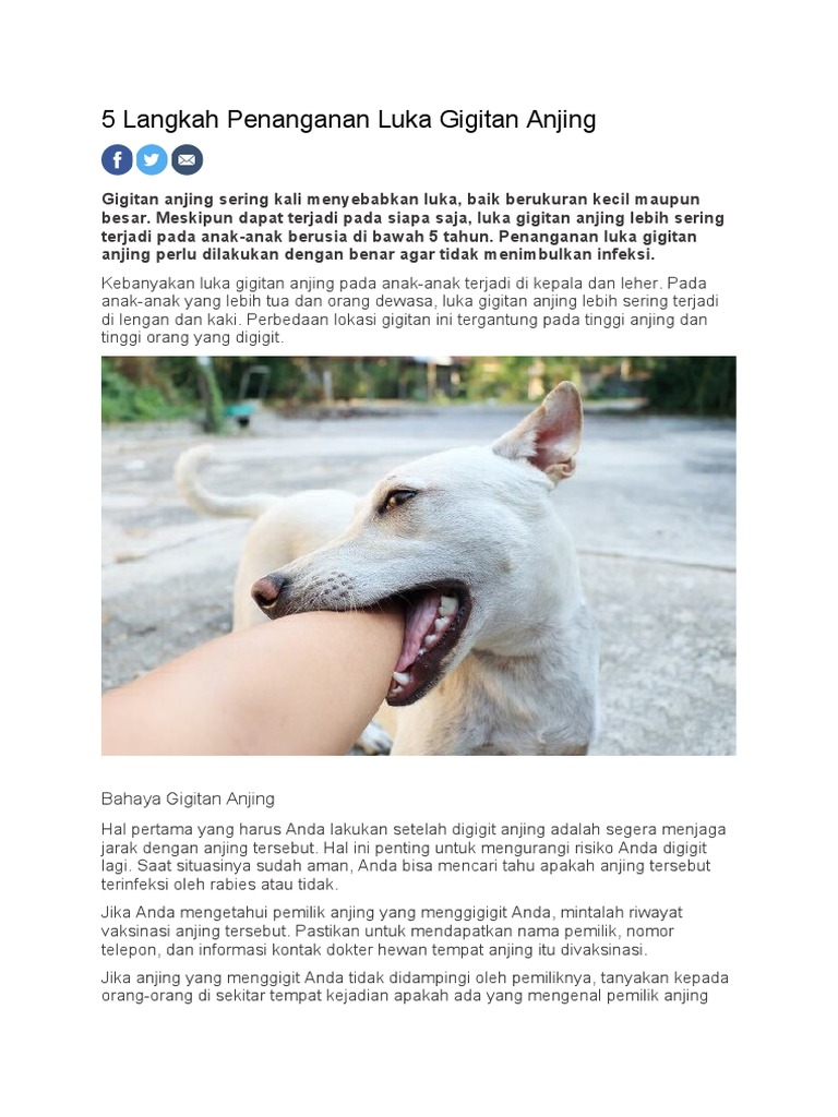 Gigitan Anjing | PDF
