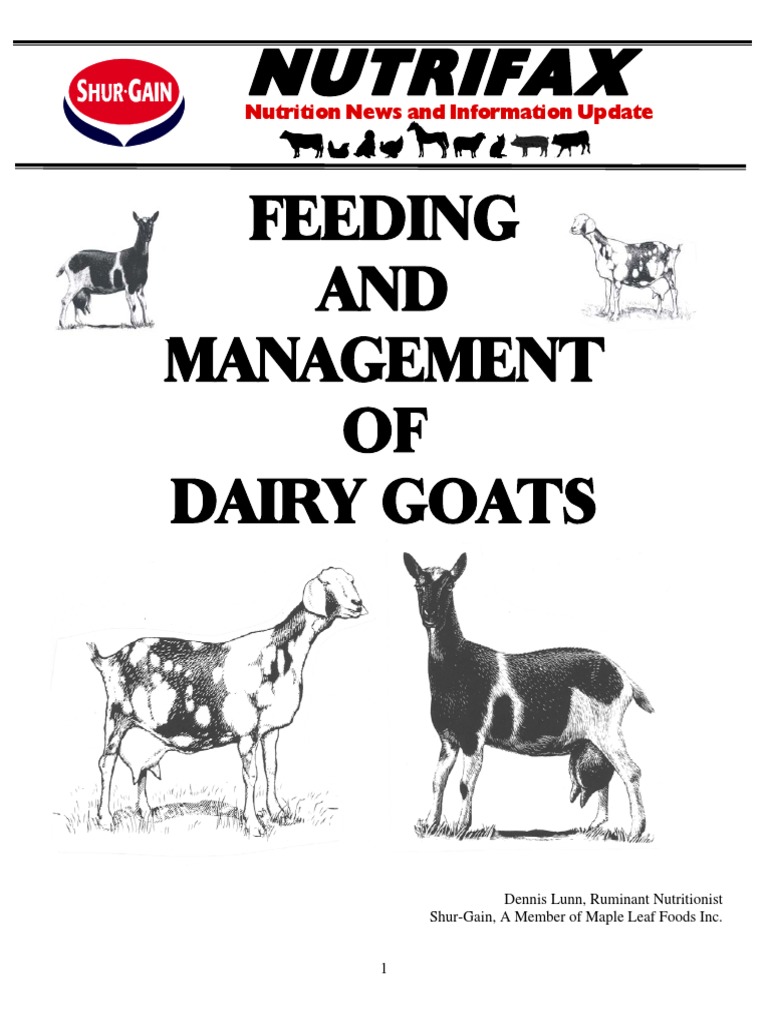 Feeding and Management of Dairy Goats | PDF | Goat | Dairy Cattle