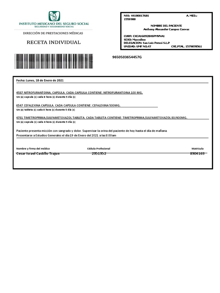 Receta Imss Act. (Fiebre, Taqui) | PDF