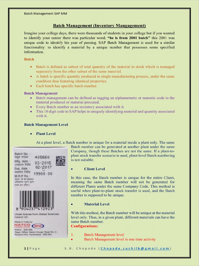 SAP MM Batch Management (IM) | PDF