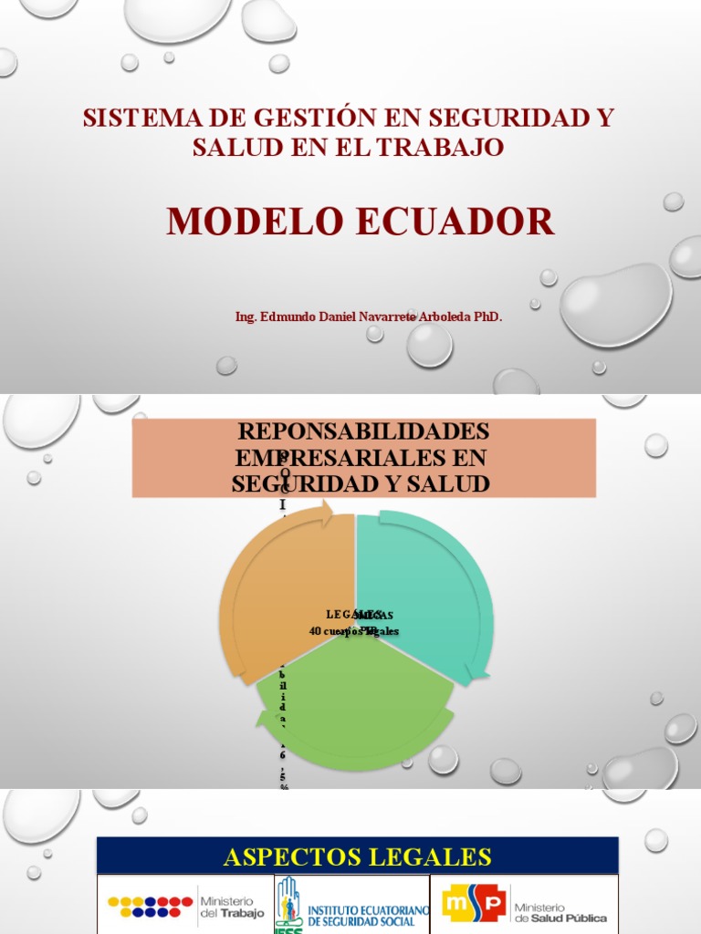 SGSST Modelo Ecuador - Ok. | PDF | Bienestar | Planificación