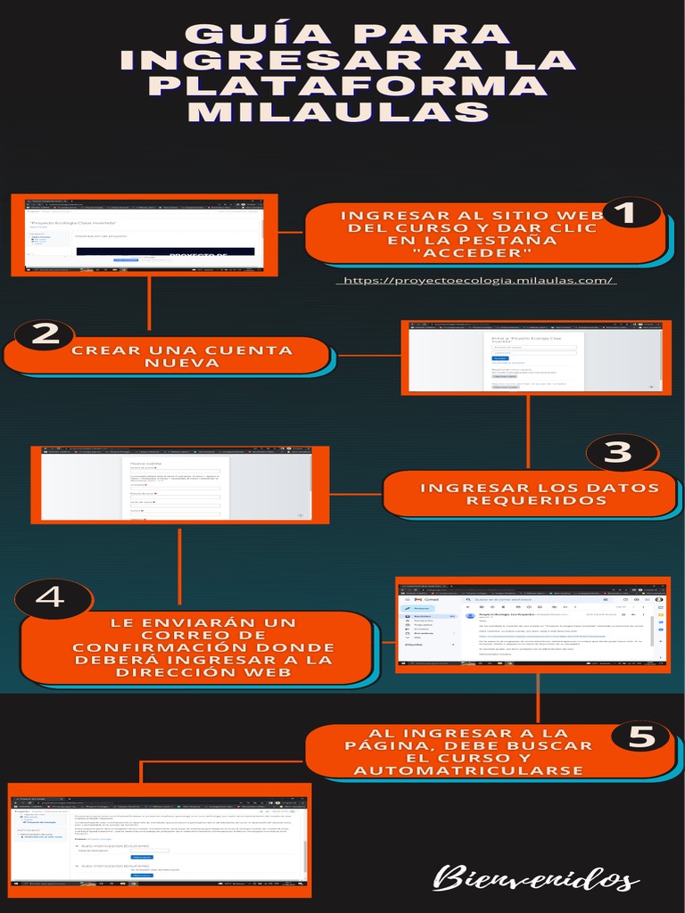 Guía de Acceso A Milaulas | PDF