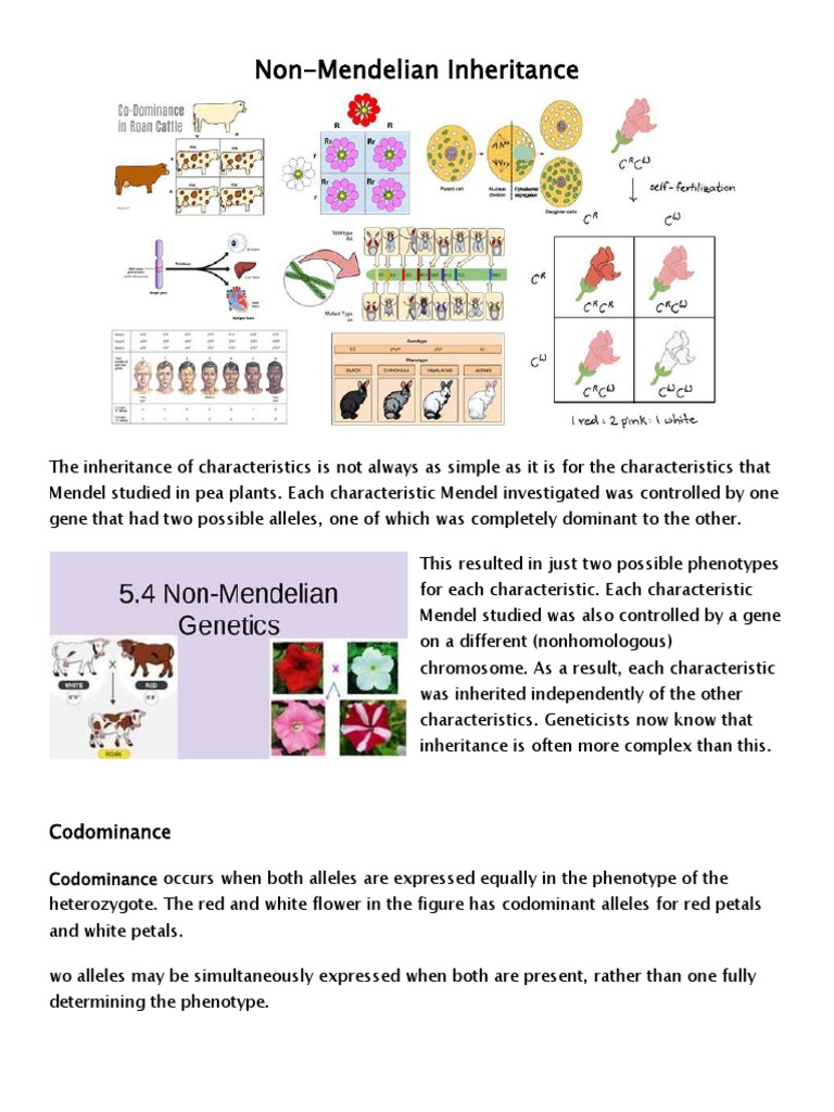 Non-Mendelian Inheritance Explained | PDF | Dominance (Genetics) | Allele