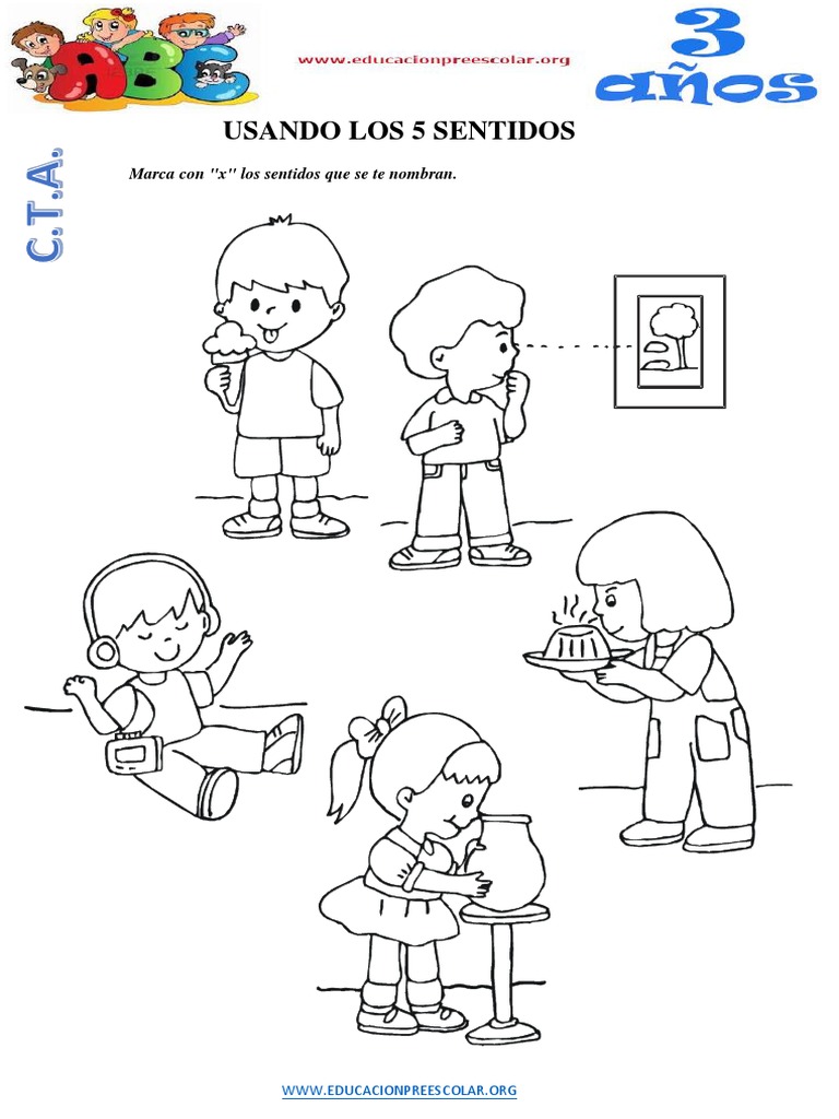 Usando Los 5 Sentidos | PDF