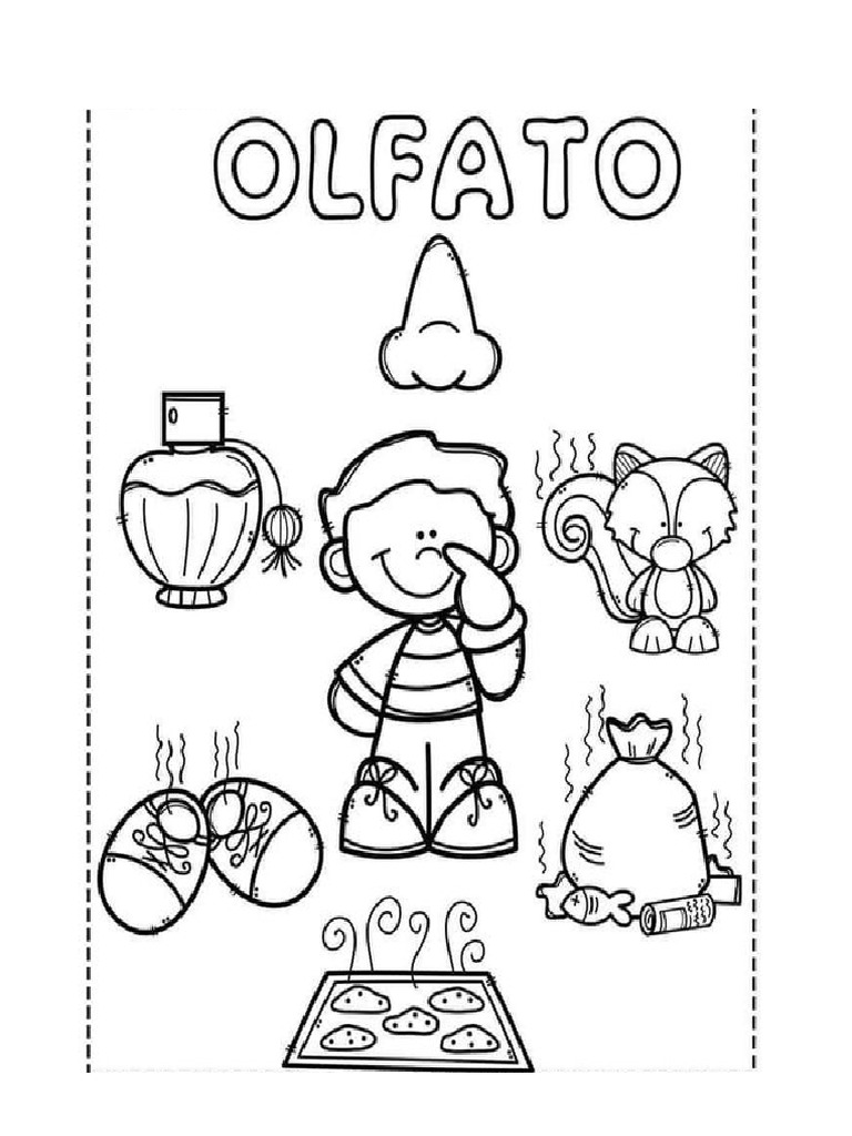 Olfato | PDF