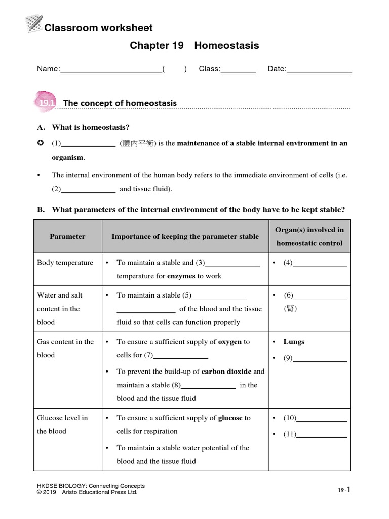 CH19 2 Biology Ws | PDF | Homeostasis | Diabetes