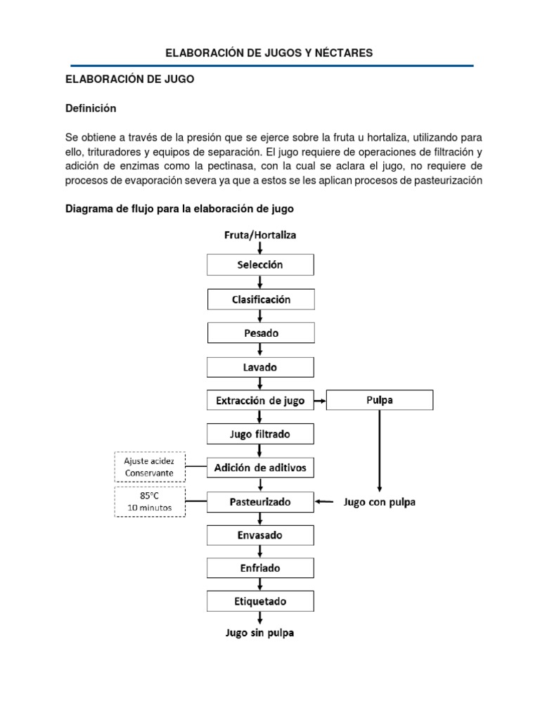 Elaboración de Néctares, Jugos y Encurtidos | PDF | Agua | Gusto