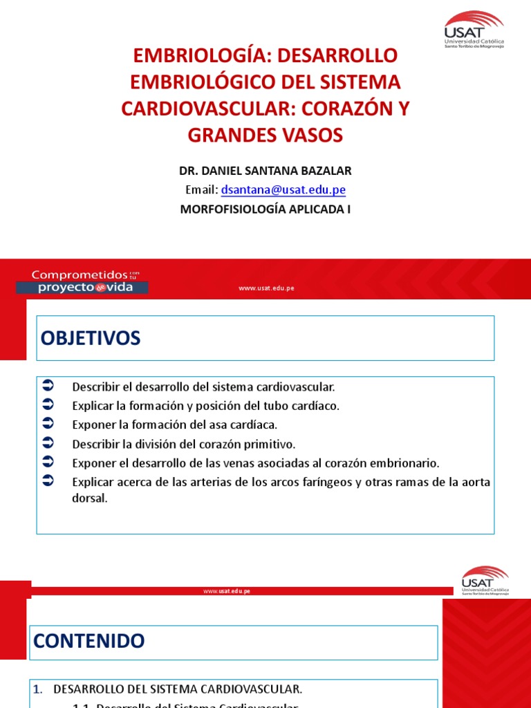 Embriología - Desarrollo embriológico del sistema cardiovascular - Corazón y grandes vasos | PDF ...