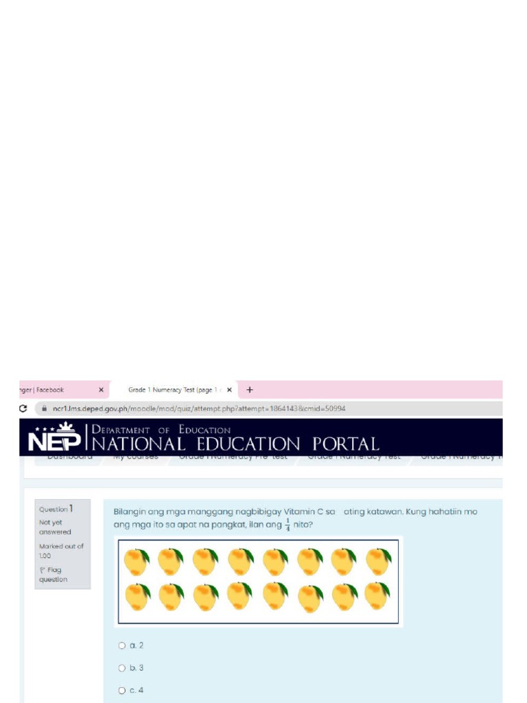 Amplified Numeracy Assessment PDF