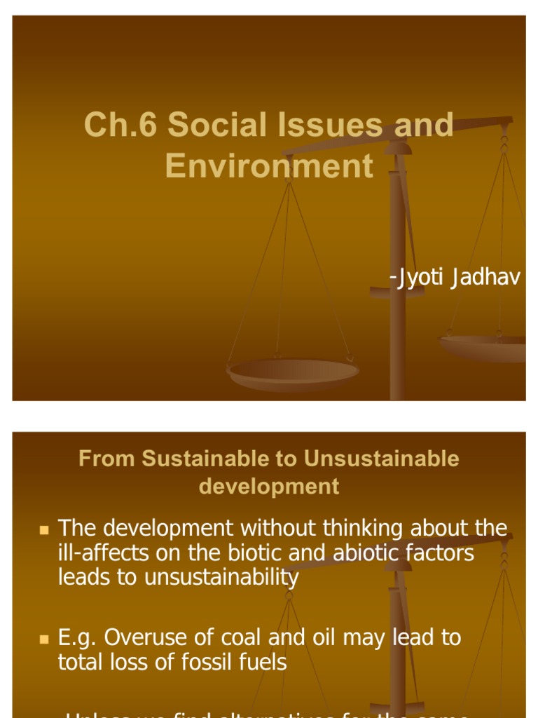 Chapter 6. Social Issues and Environment | PDF