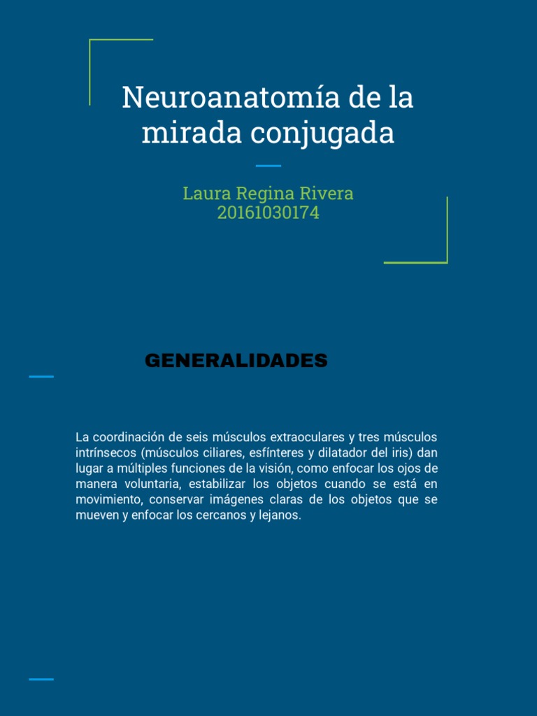 Neuroanatomía de La Mirada Conjugada | PDF | Cerebelo | Ciencia cognitiva