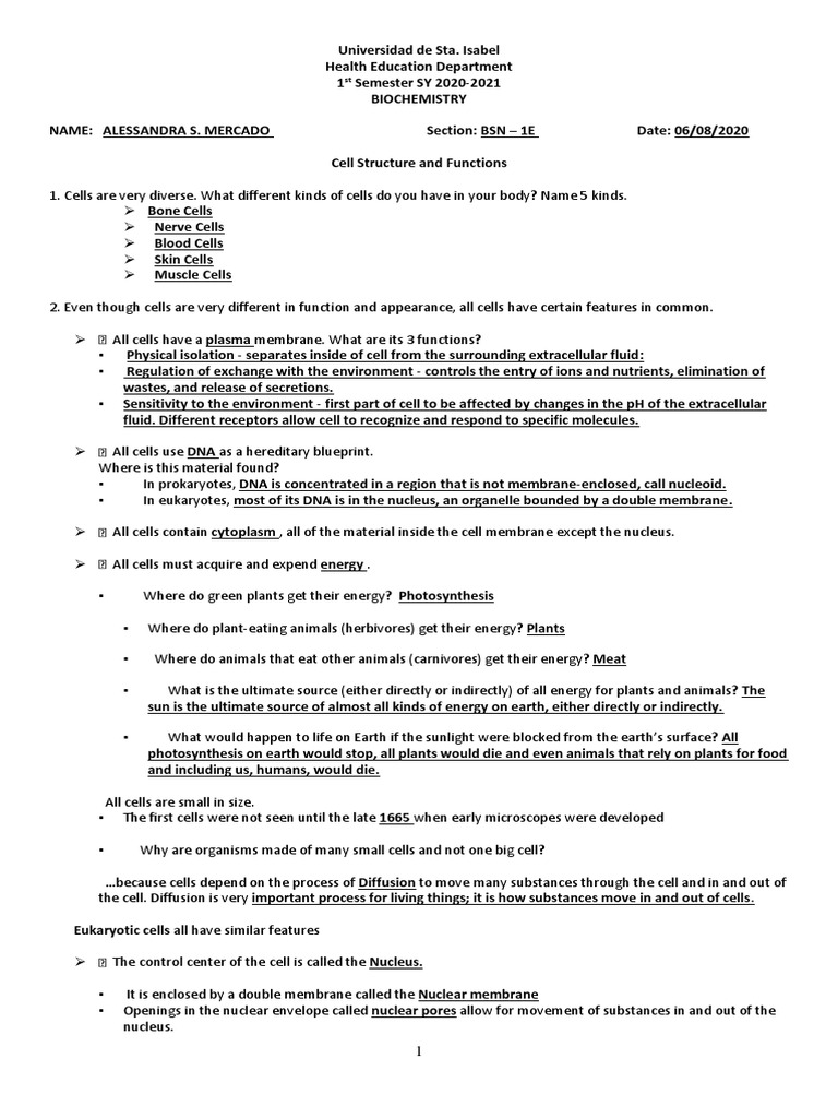 Cell Structure Worksheet | PDF | Cell (Biology) | Cell Nucleus
