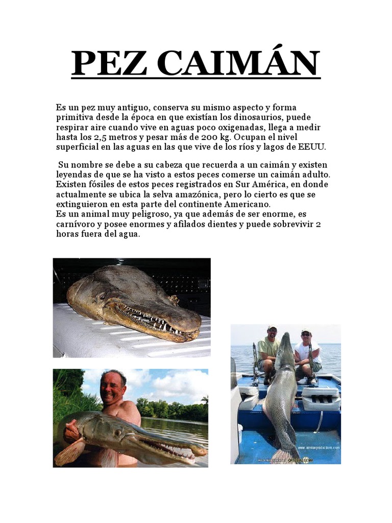 Pez Caimán | PDF