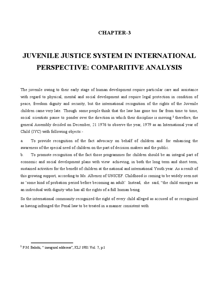 Chapter 3 JJ | PDF | Juvenile Court | Juvenile Delinquency
