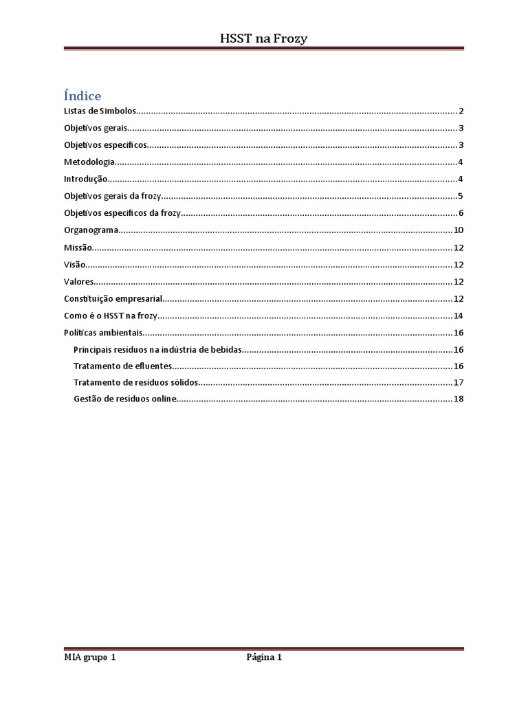 A implementação do HSST na Frozy: garantindo a saúde, segurança e bem ...