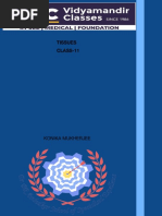 Class 9 - Pearson - Biology - Cell - Fundamental Unit of Life | PDF | Cell (Biology) | Chloroplast