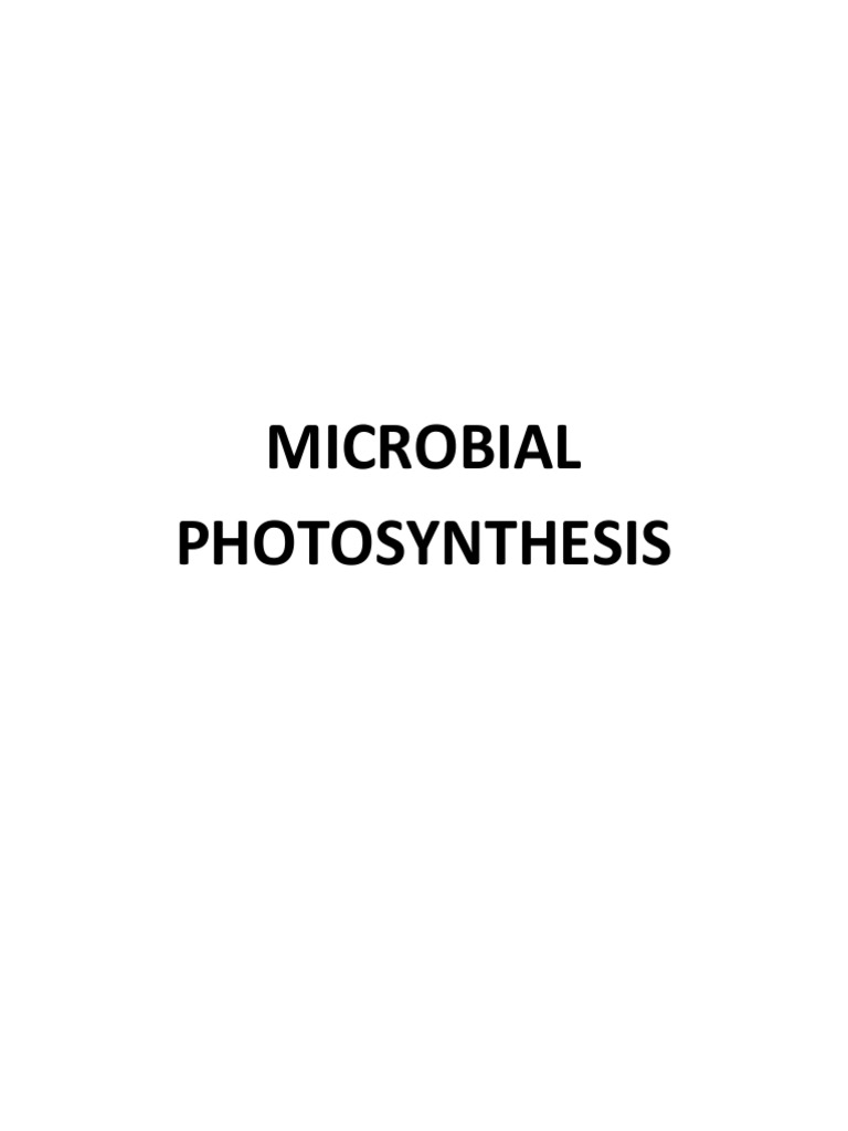 Microbial Photosynthesis | PDF | Photosynthesis | Chloroplast