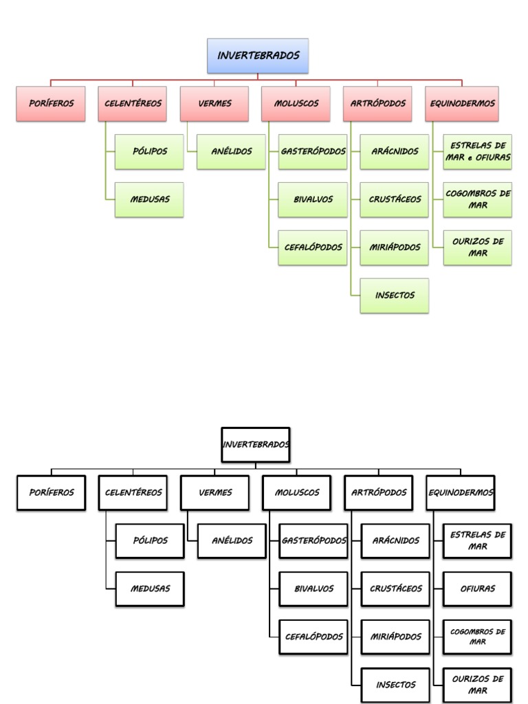 1 Invertebrados Clasificación | PDF