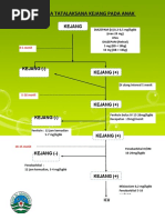 Alur Tatalaksana Kejang Demam | PDF