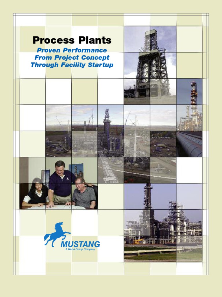 Process Plants 08 Final | PDF