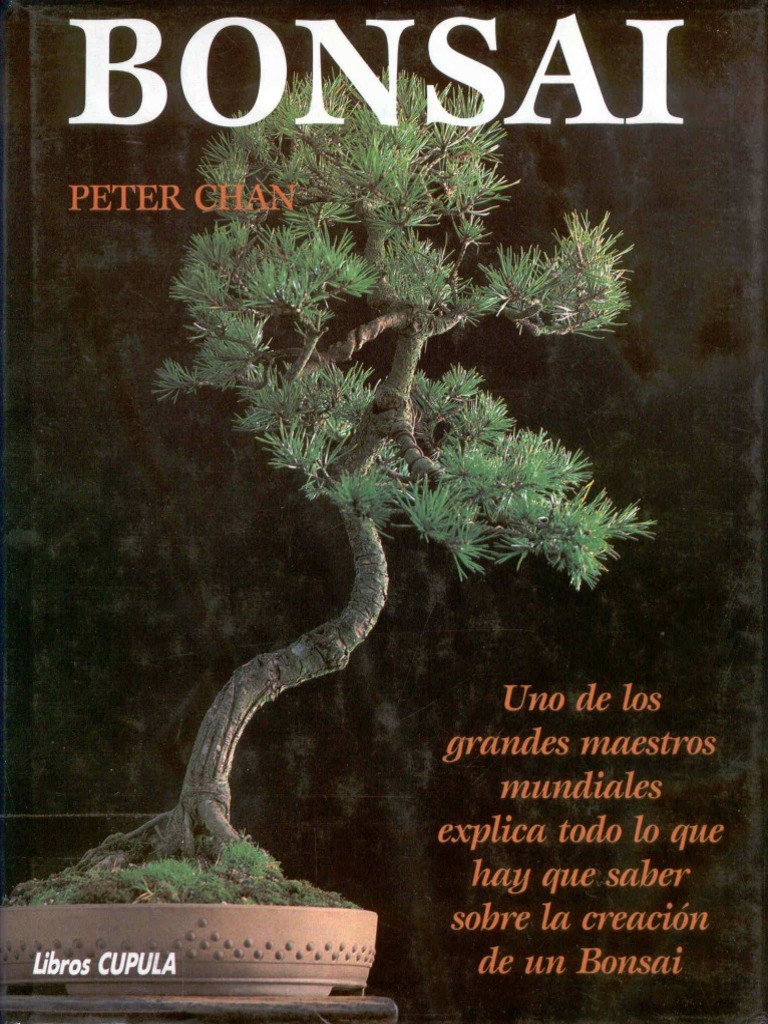 Bonsai Peter Chan | PDF