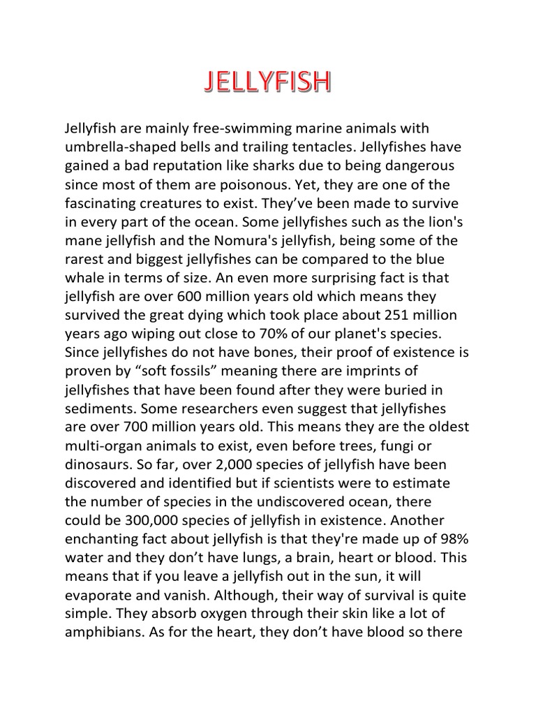 Jellyfish Essay | PDF | Aquatic Animals | Biology