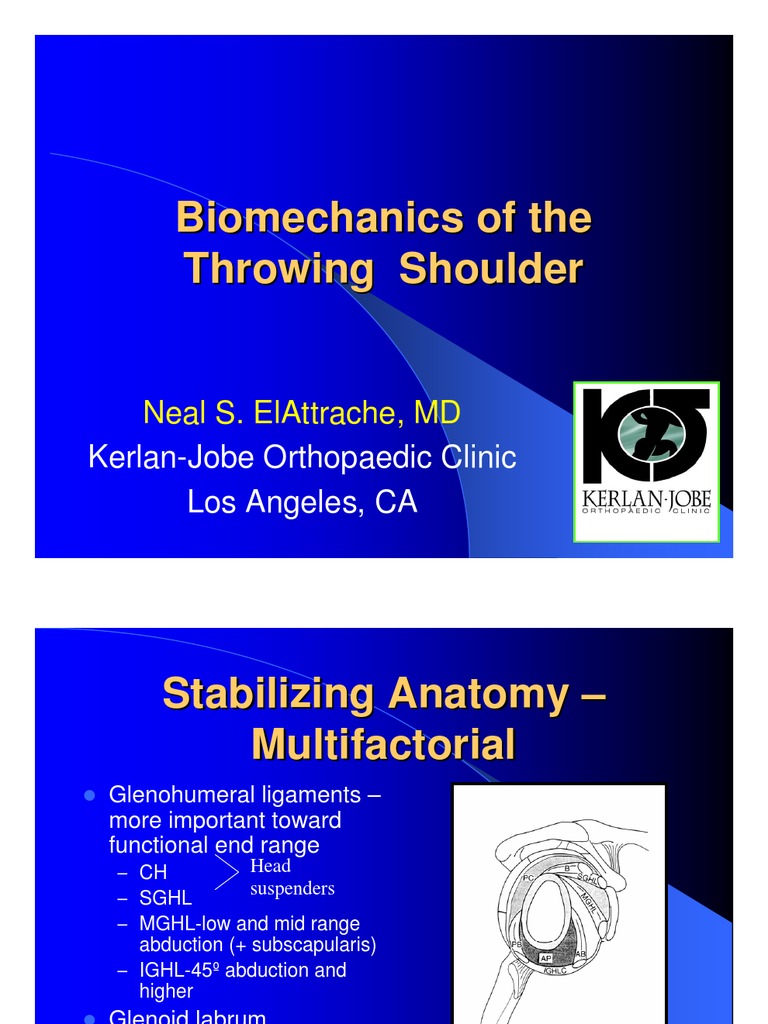 Biomechanics of The Throwing Shoulder | PDF | Shoulder | Primate Anatomy