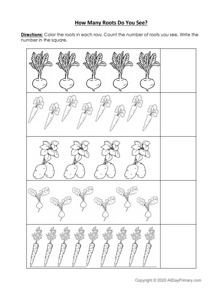 How Many Roots Do You See | PDF