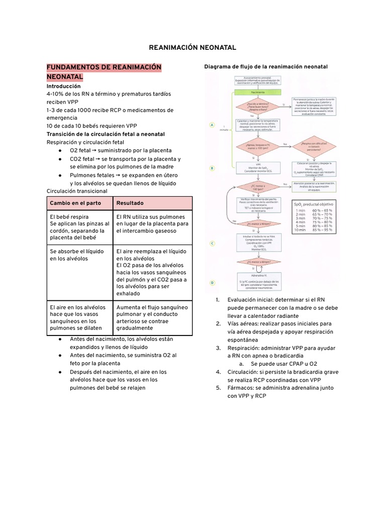 RENEO | PDF | Reanimación cardiopulmonar | Parto