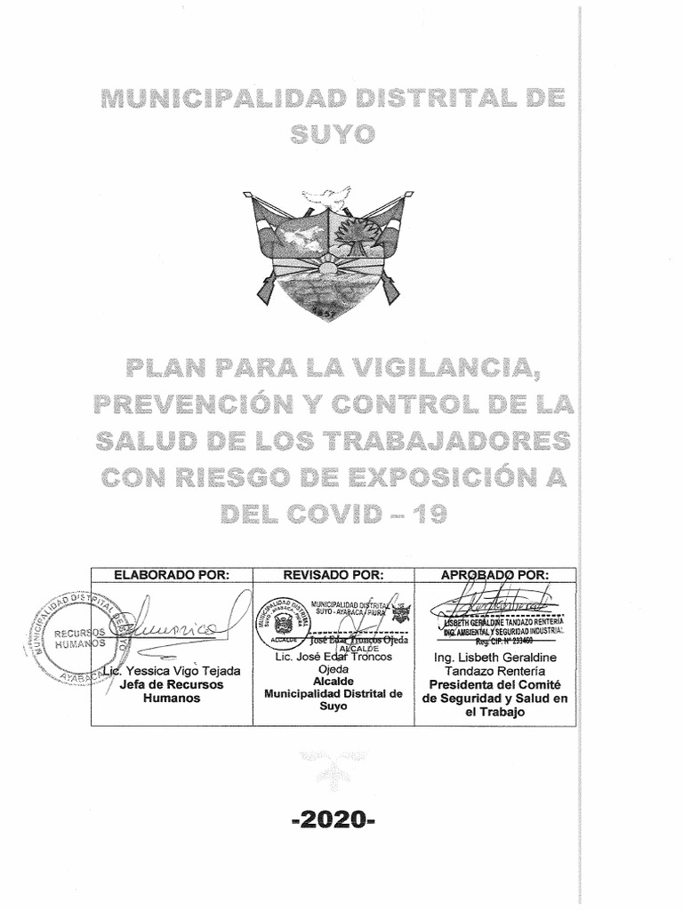 Plan Seguridad Suyo | PDF
