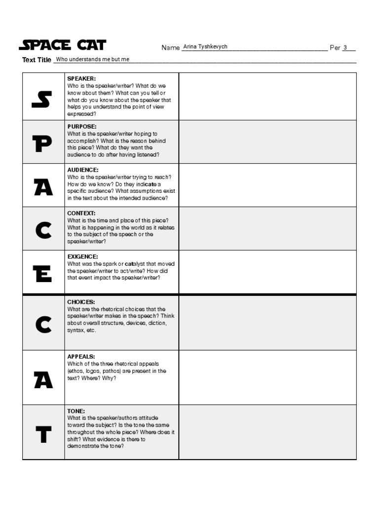 SPACE CAT Rhetorical Analysis Guide | PDF