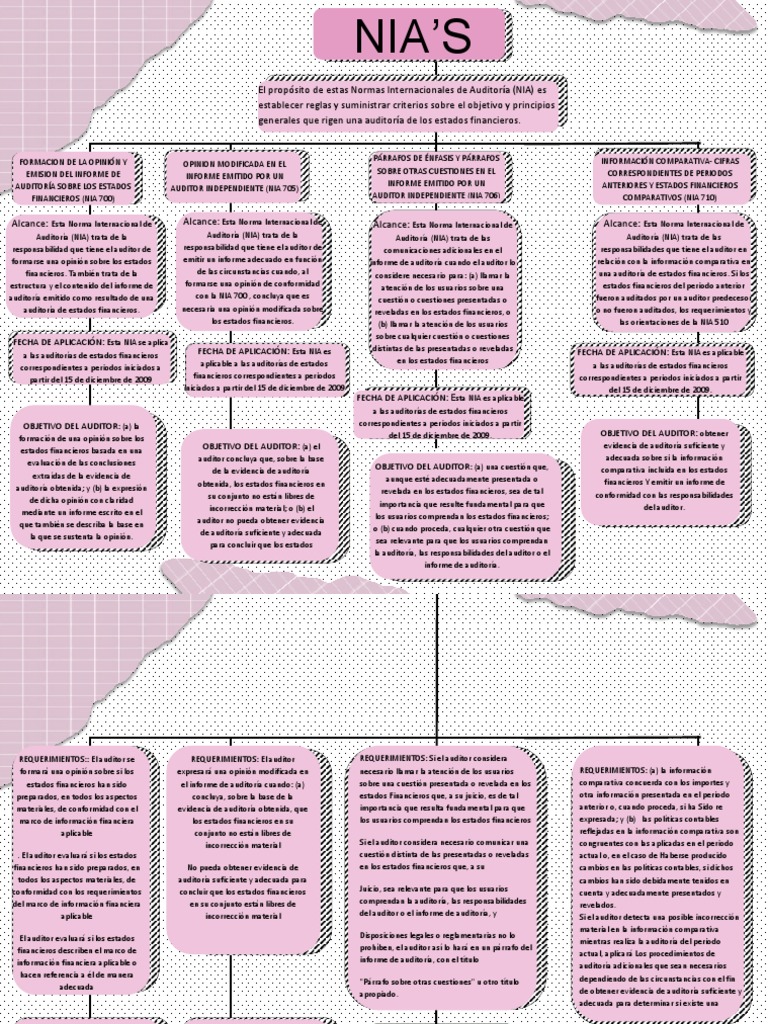 Estructura y Normas de Auditoría NIA | PDF | Auditoría | Contralor