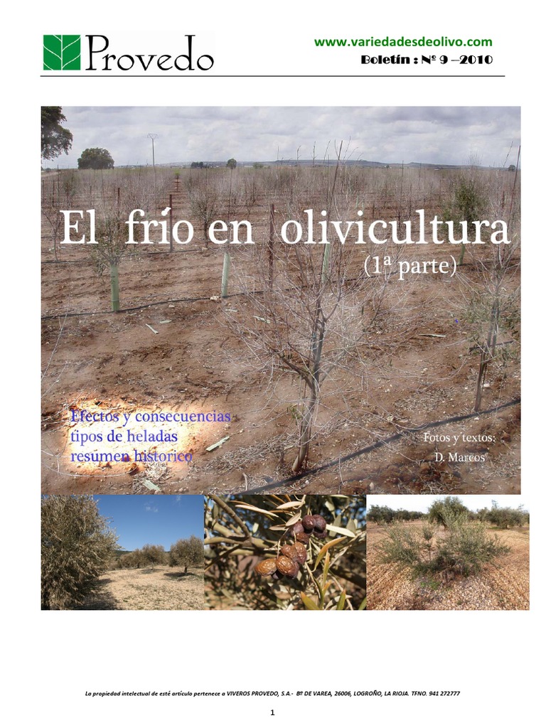 El Frio en Olivicultura (I) Olivo y Clima - Heladas | PDF | Aceituna | Aceite de oliva