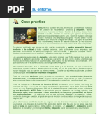 Tema 2 Emr | PDF | Marketing | Burocracia