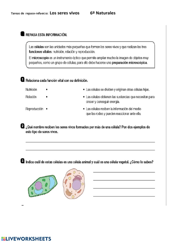 Ficha Natu t.1 Repaso La Celula | PDF