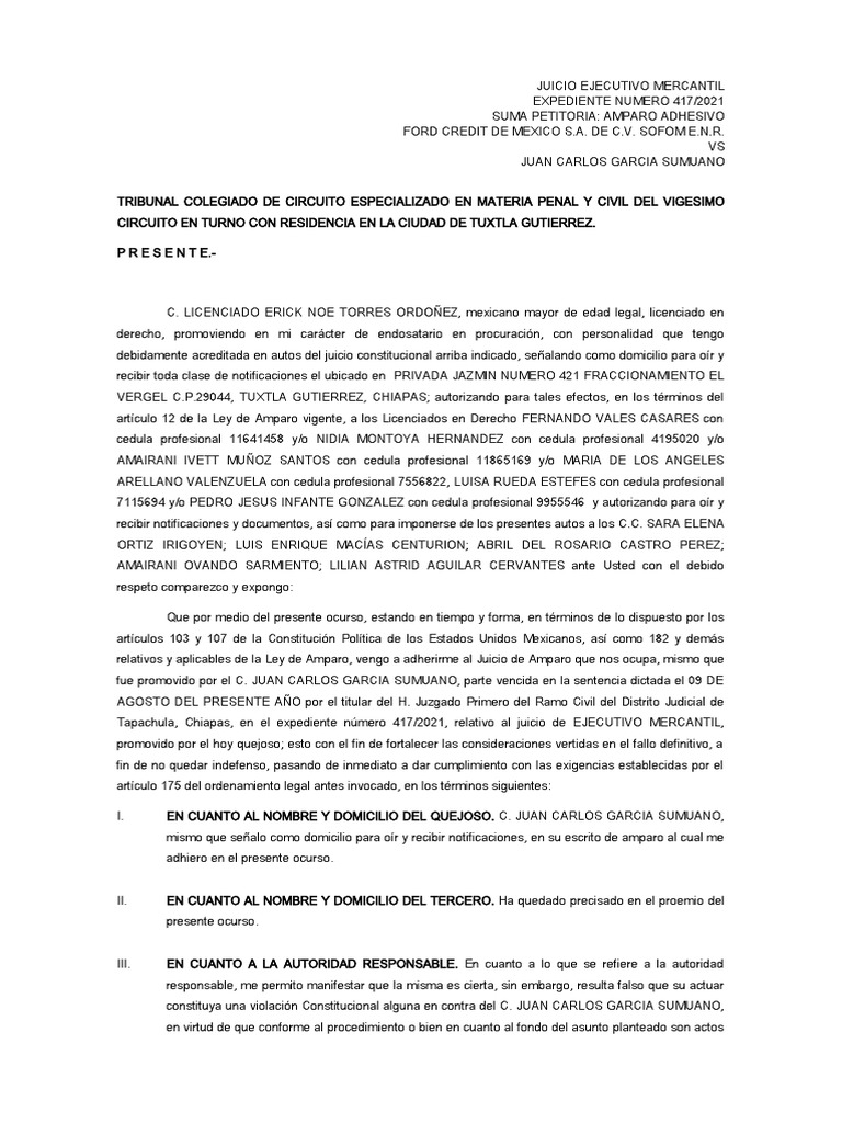 Amparo Adhesivo 2 | PDF