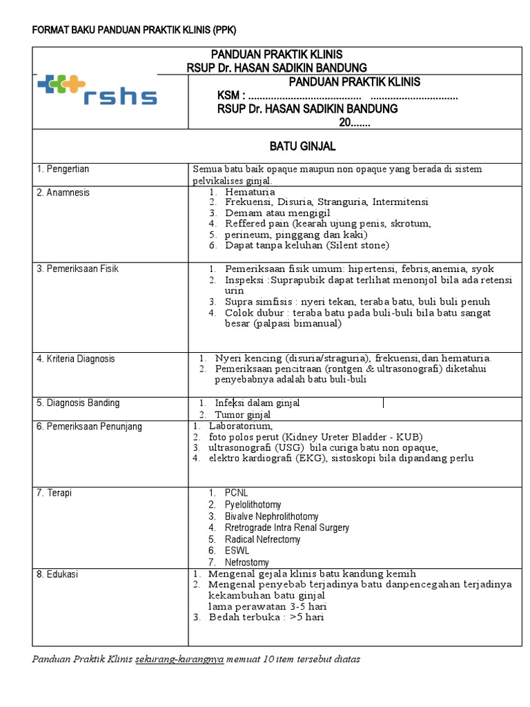 PPK Batu Ginjal Komplit | PDF