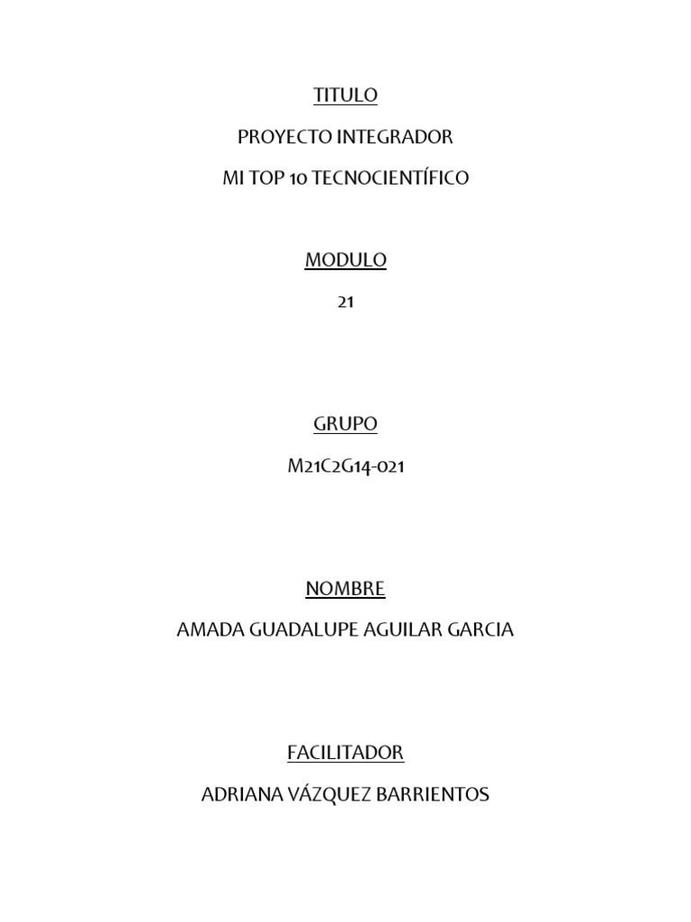 Proyecto Integrador | PDF