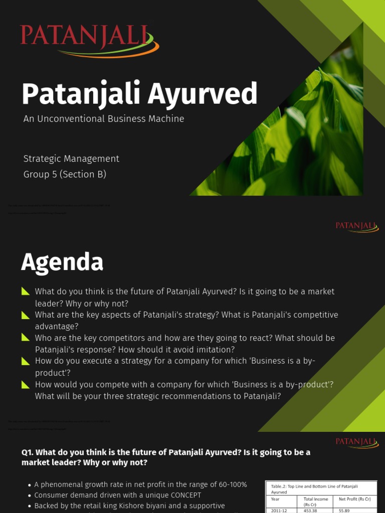 Group 5 Patanjali PDF | PDF | Competitive Advantage | Brand