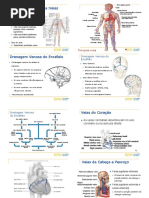Anatomia do Sistema Venoso Ázigo | PDF | Fígado | Abdômen