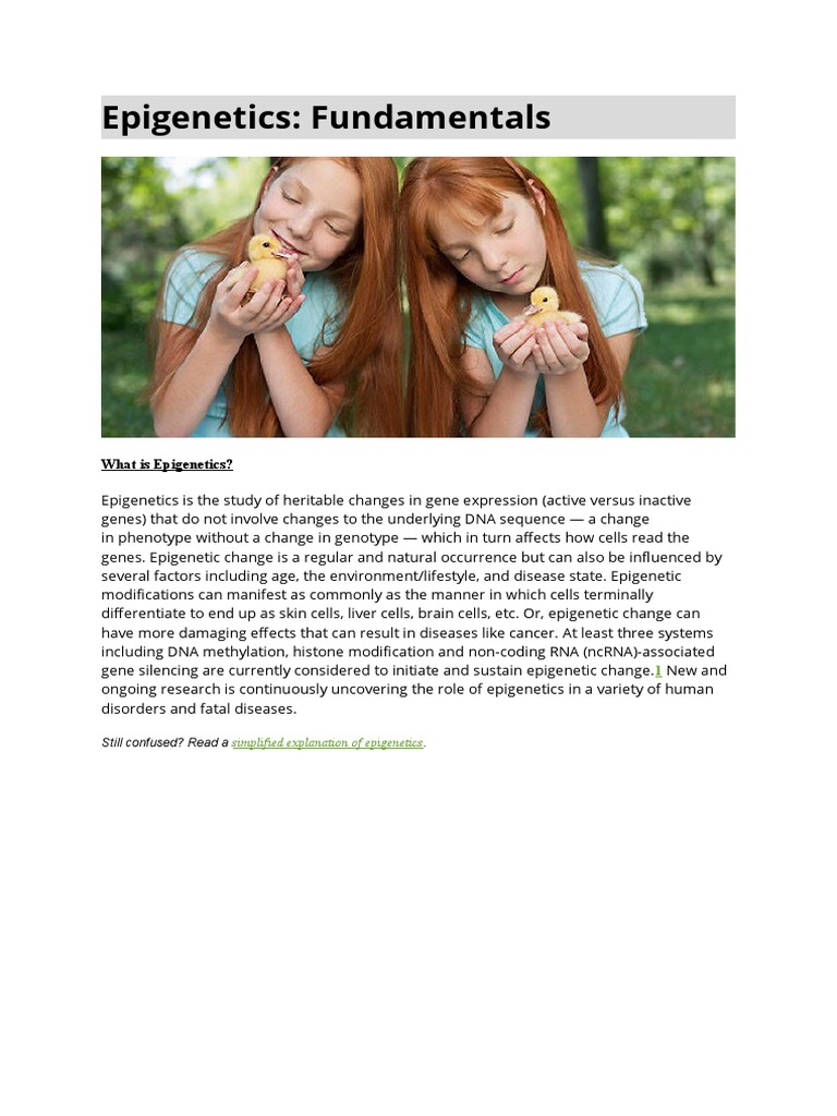 Understanding Epigenetics and Health | PDF | Epigenetics | Genetics
