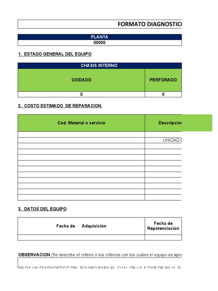 Bosquejo Formato Baja de Un Activo | PDF