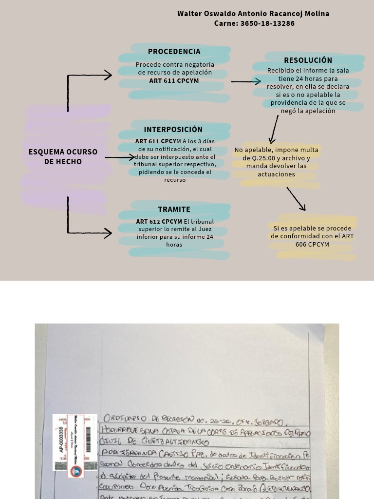 Ocurso de Hecho | PDF