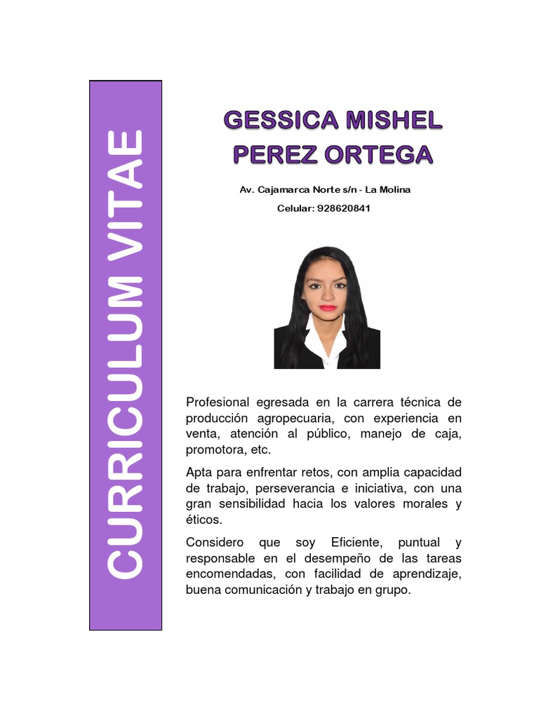 Curriculum Vitae Mishel 2 | PDF