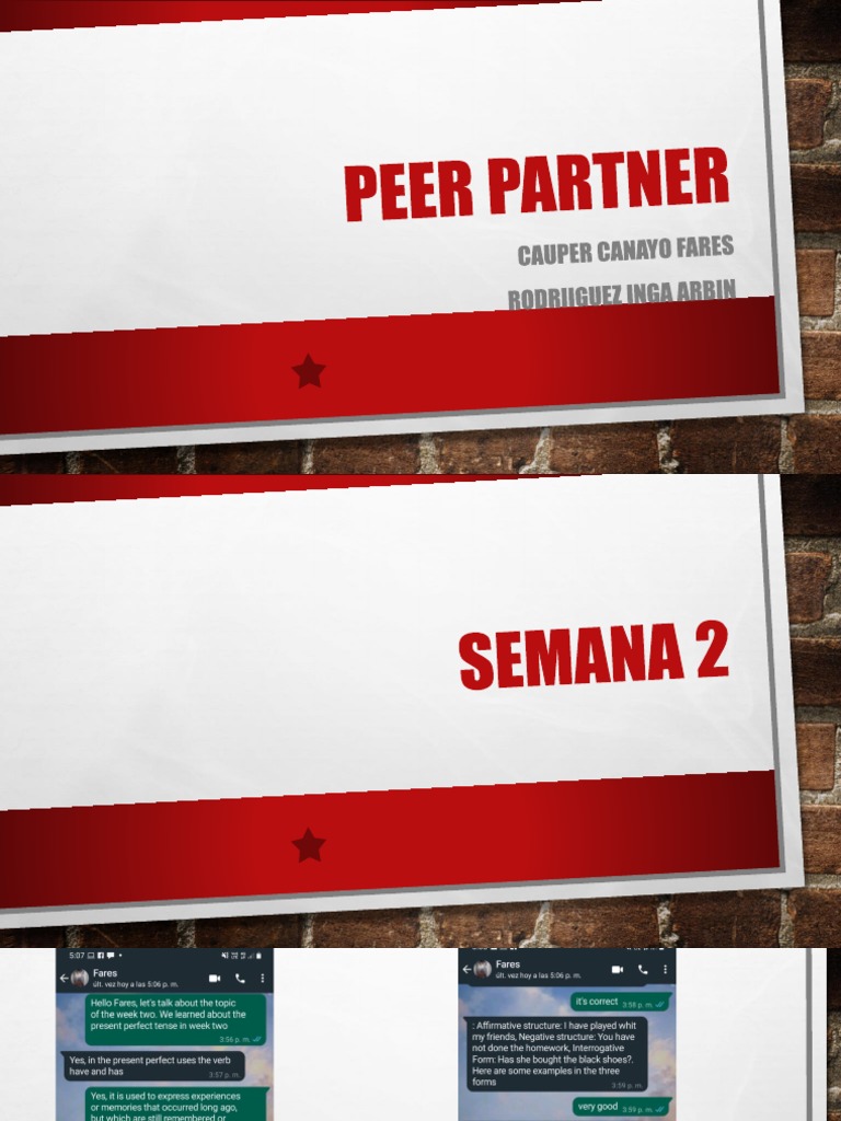 Peer Partner - Duolingo | PDF