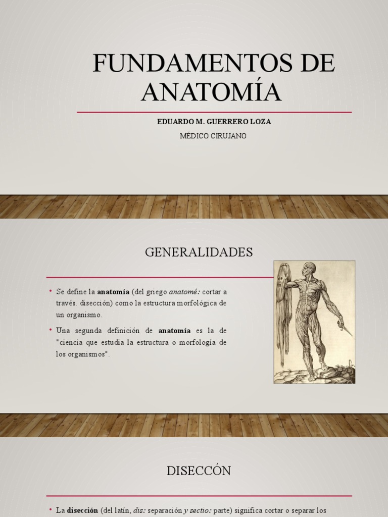 Generalidades de Anatomía | PDF | Términos anatómicos de ubicación ...