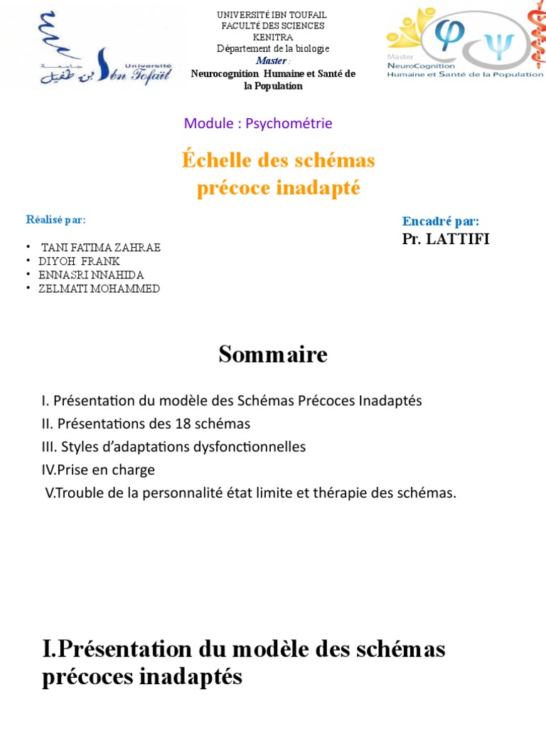 Schémas Précoce Inadapté 111 | PDF | Émotions | Psychologie sociale