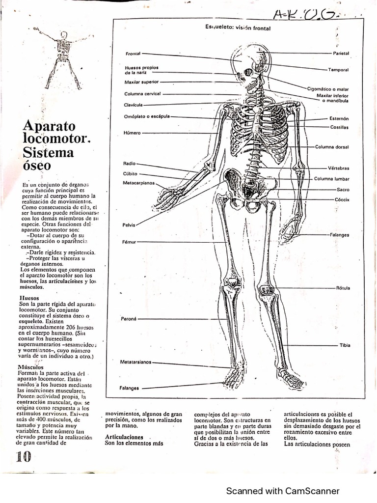 CamScanner 09-26-2022 07.54 | PDF CamScanner 09-26-2022 07.54 | PDF
