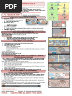 MR Sopa | PDF | Reanimación cardiopulmonar | Medicina